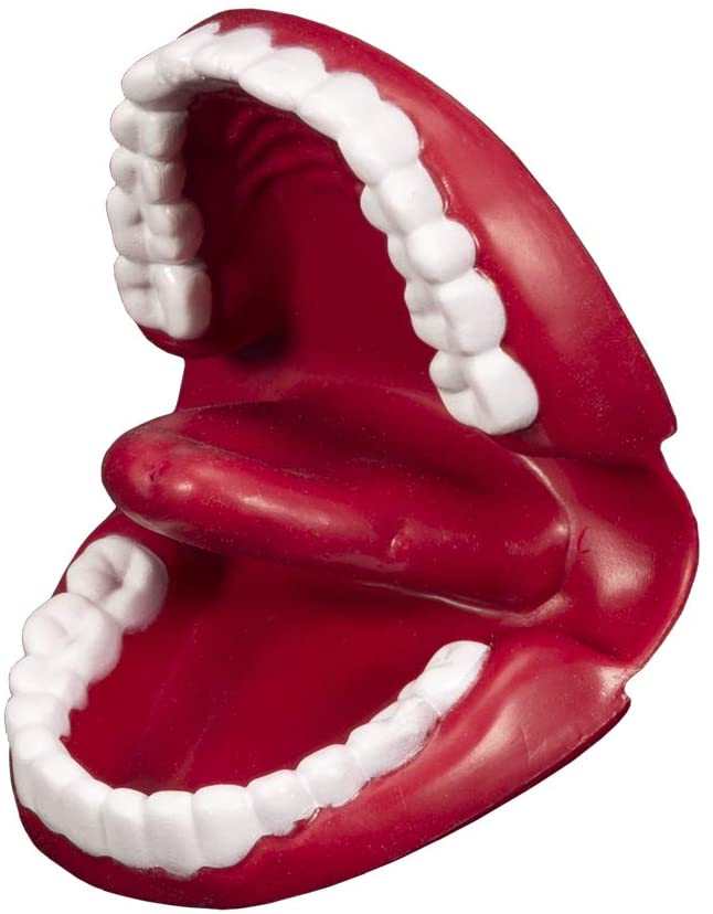 The Best Mouth Models for Speech Therapy: R Sound Tips • Rock the R®