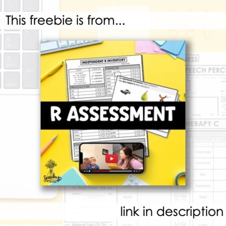 R Assessment Freebie • Rock the R®