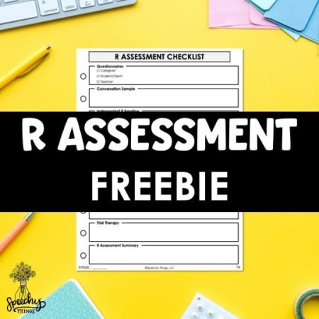 R Assessment Freebie • Rock the R®